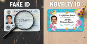 Fake ID vs Novelty ID: Legal, Design & Creative Difference